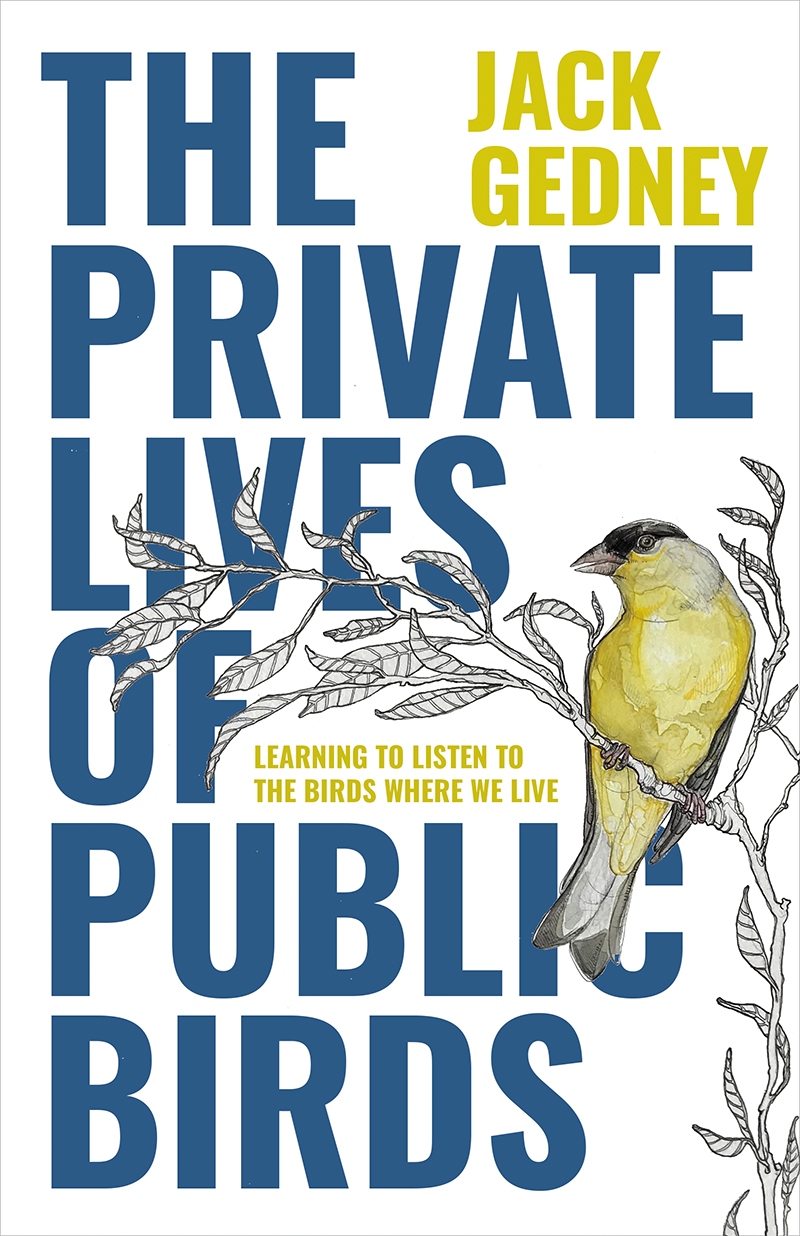 The Private Lives of Public Birds: Learning to Listen to the Birds ...