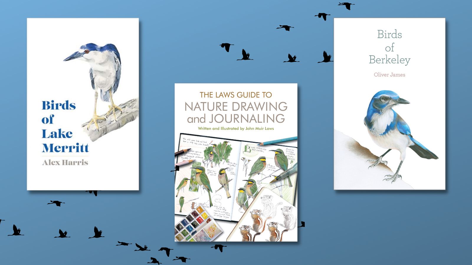 Birds of Berkeley Festival: Winged Wonderment | Heyday