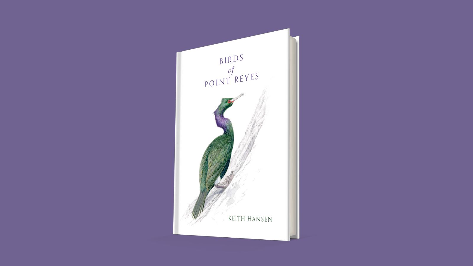 Keith Hansen Celebrates Release at Point Reyes Books | Heyday