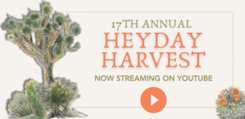 Heyday – Since 1974